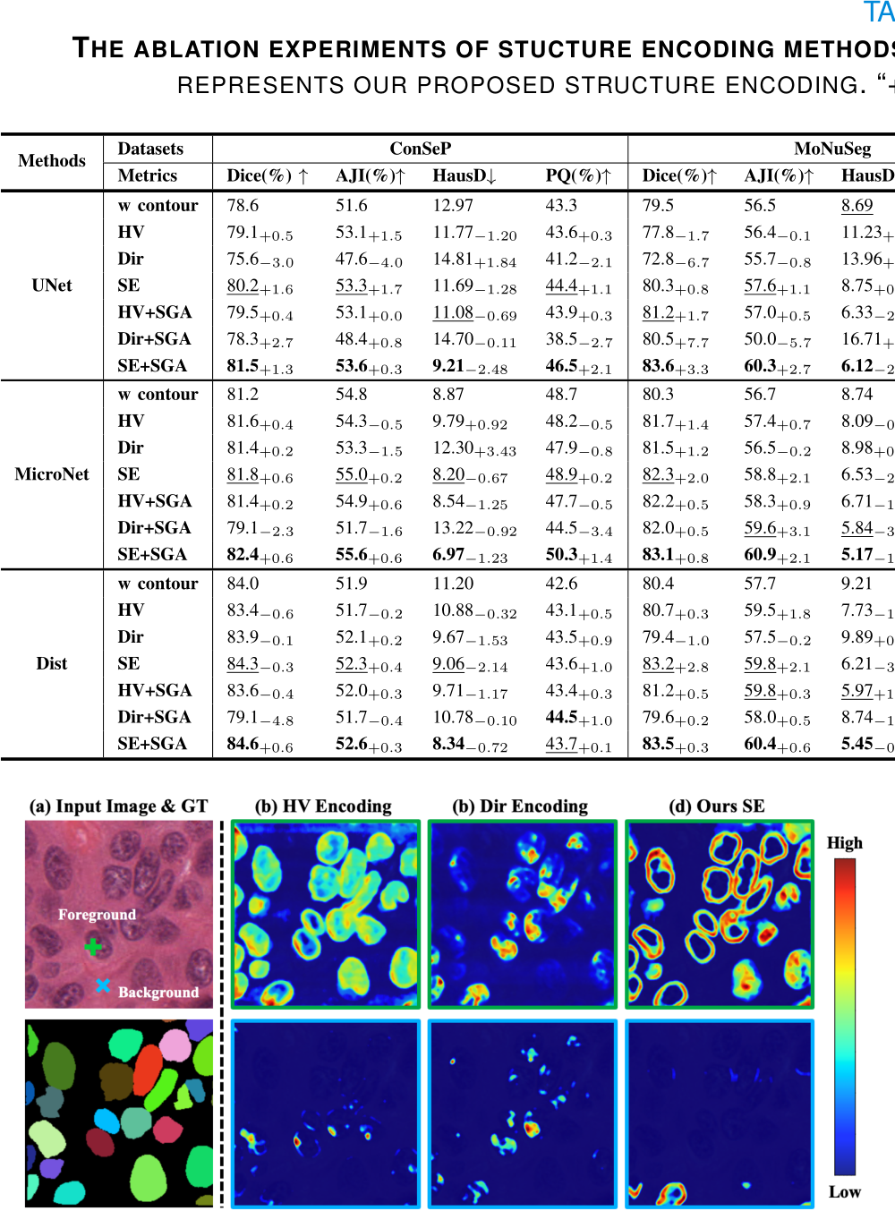 Bytez: SEINE: Structure Encoding and Interaction Network for Nuclei Instance Segmentation