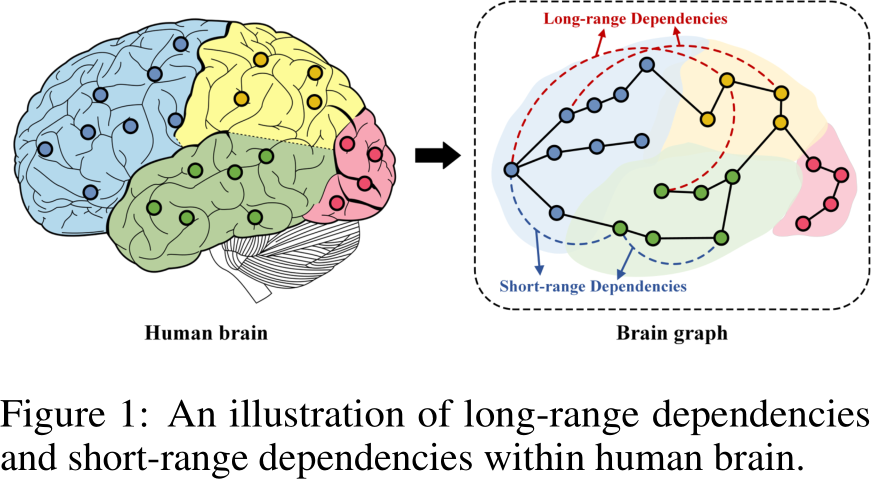 Long-range Brain Graph Transformer | Bytez