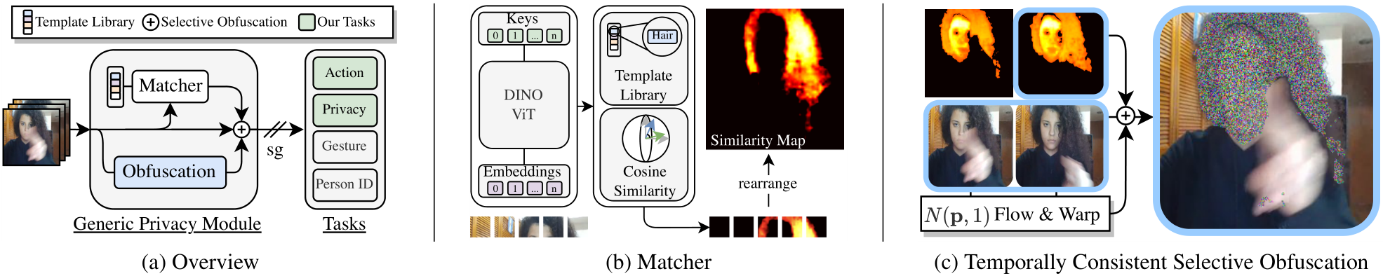 Selective Interpretable and Motion Consistent Privacy Attribute Obfuscation for Action ...