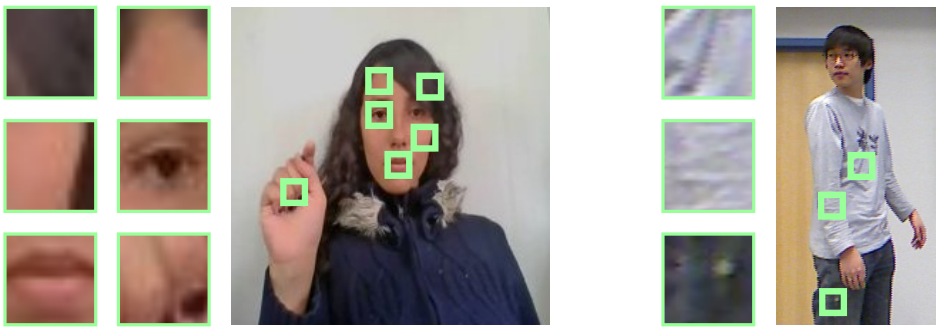 Selective Interpretable and Motion Consistent Privacy Attribute Obfuscation for Action ...