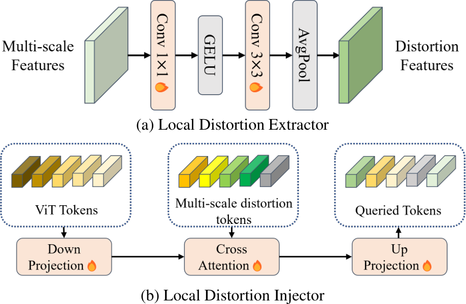 Boosting Image Quality Assessment through Efficient Transformer Adaptation with Local Feature ...