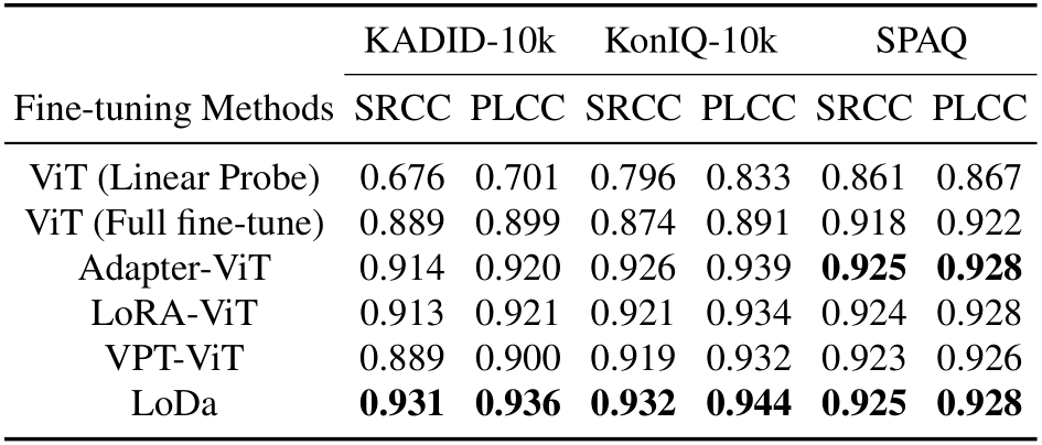 Boosting Image Quality Assessment through Efficient Transformer Adaptation with Local Feature ...