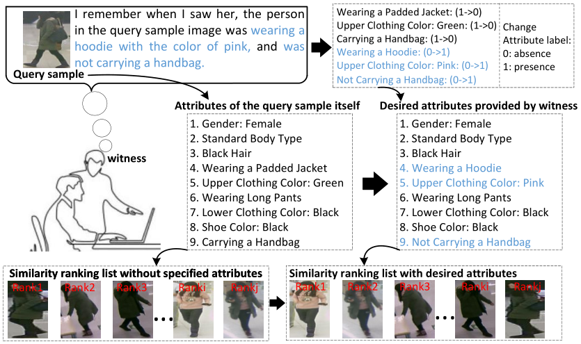 Attribute-Guided Pedestrian Retrieval: Bridging Person Re-ID with Internal Attribute Variability ...