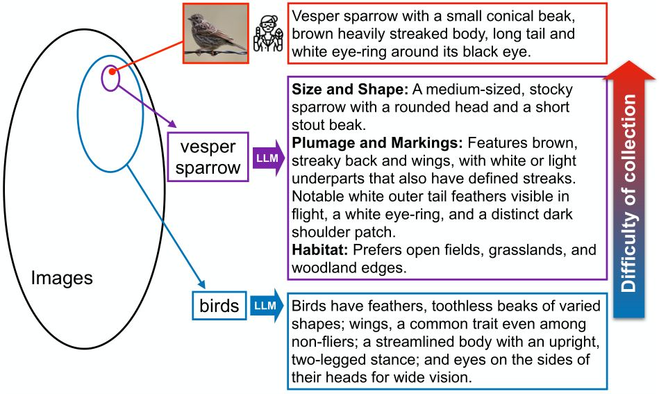 Improved Zero-Shot Classification by Adapting VLMs with Text Descriptions | Bytez