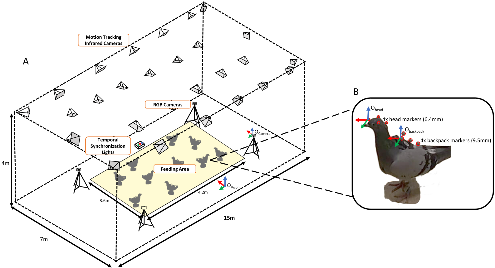 Bytez: 3D-POP - An Automated Annotation Approach to Facilitate Markerless 2D-3D Tracking of ...