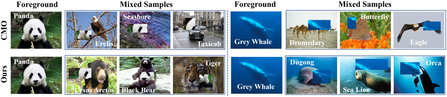 Enhancing Minority Classes by Mixing: An Adaptative Optimal Transport ...
