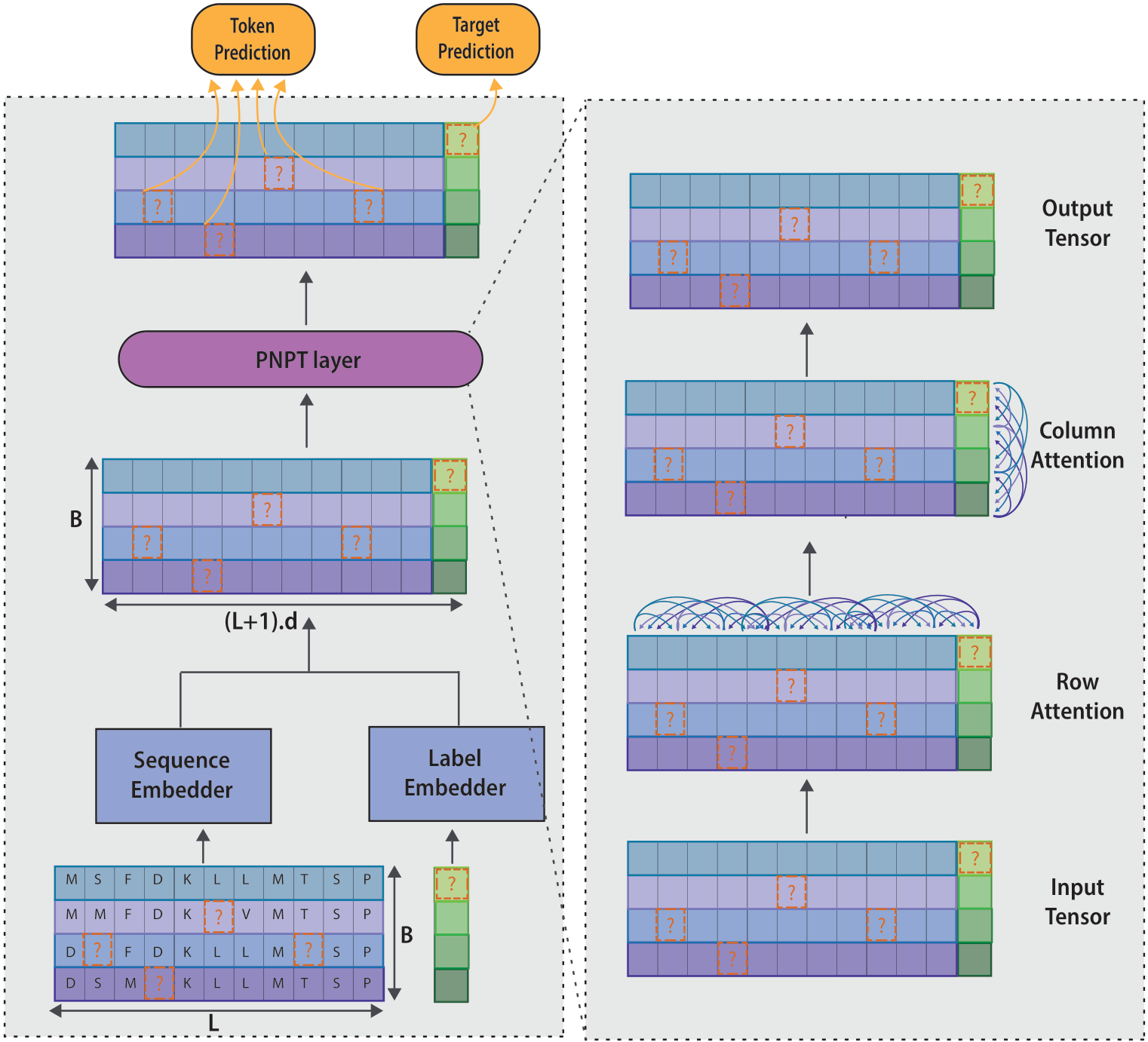 ProteinNPT: Improving protein property prediction and design with non-parametric transformers ...