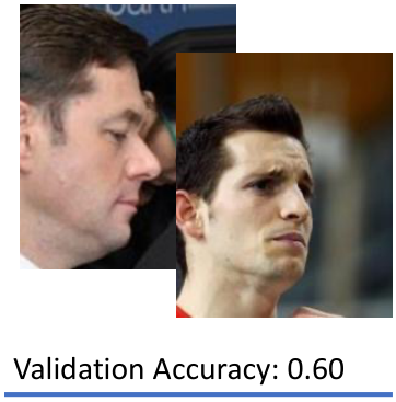 Bytez: HiBug: On Human-Interpretable Model Debug