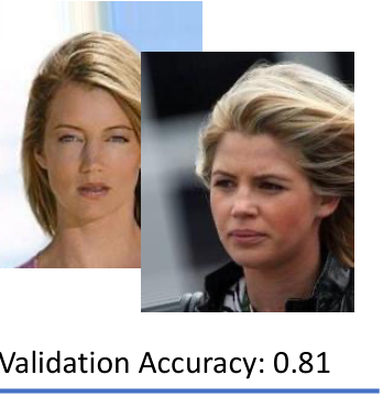 Bytez: HiBug: On Human-Interpretable Model Debug