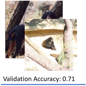 Bytez: HiBug: On Human-Interpretable Model Debug