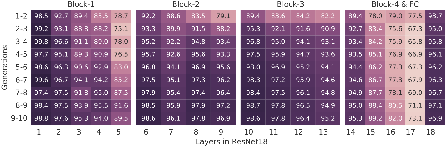 Dynamic Neural Regeneration Enhancing Deep Learning Generalization On