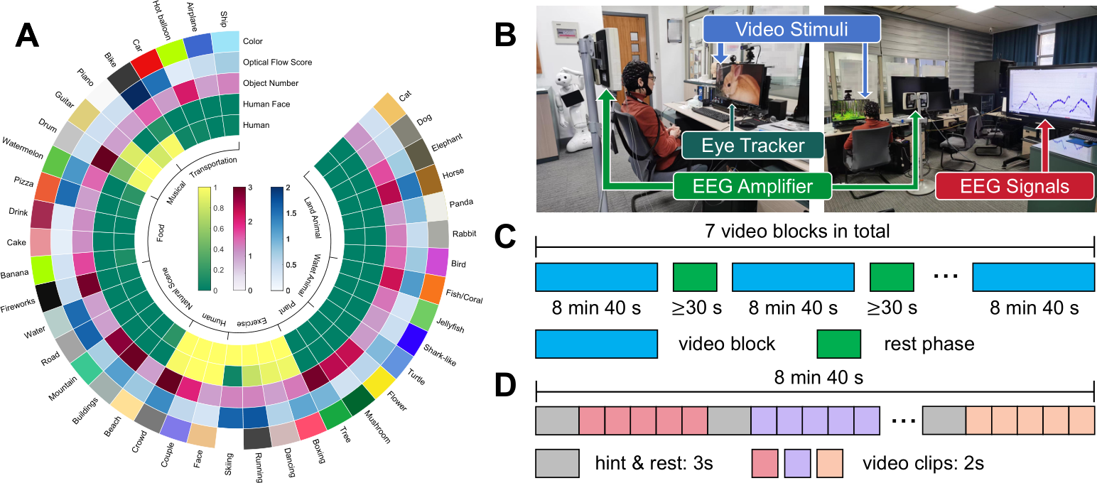 EEG2Video: Towards Decoding Dynamic Visual Perception from EEG Signals | Read Paper on Bytez